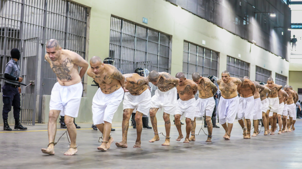 Segundo grupo de 2 mil pandilleros son trasladados al CECOT